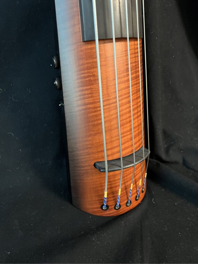 NS NXT Stand-Up Electric 5 String Bass | Spiritwood Acoustic